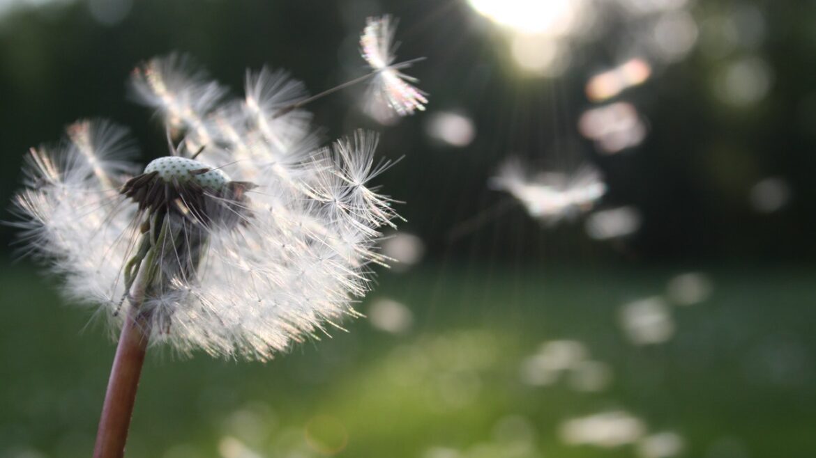 De leukste tuinblog van Nederland — Pagina 3 van 18 — Over al het moois ...