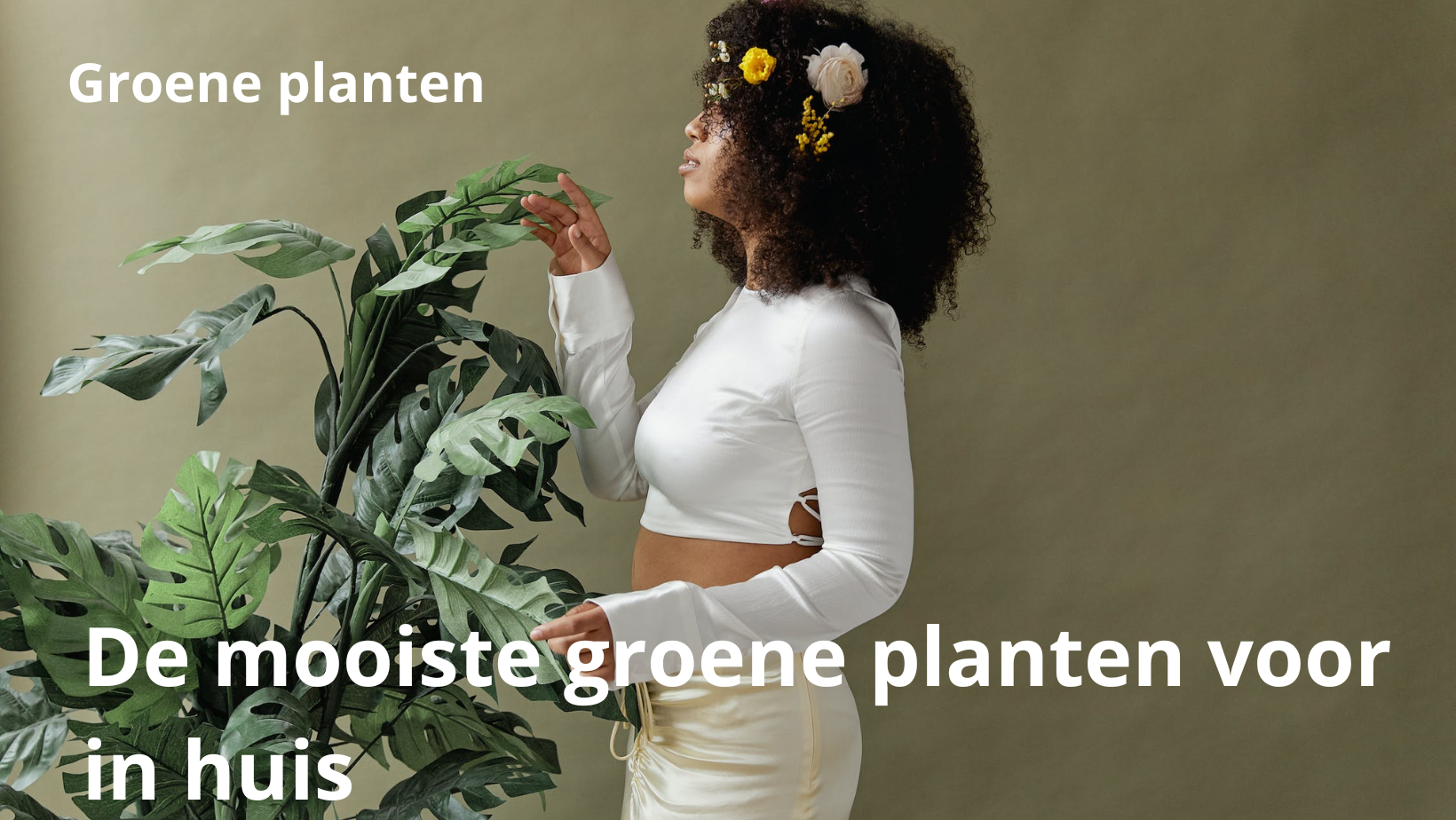 Groene planten voor in huis — De leukste tuinblog van Nederland
