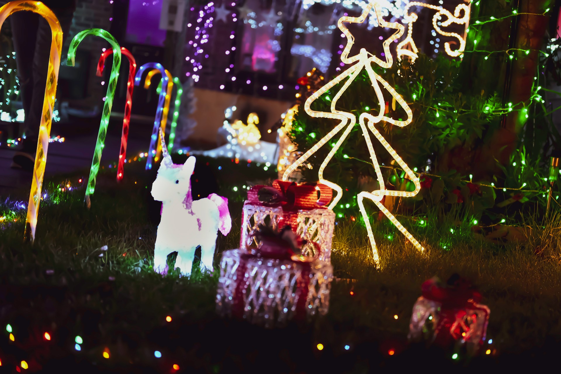 Tips voor een sfeervolle kersttuin — De leukste tuinblog van Nederland